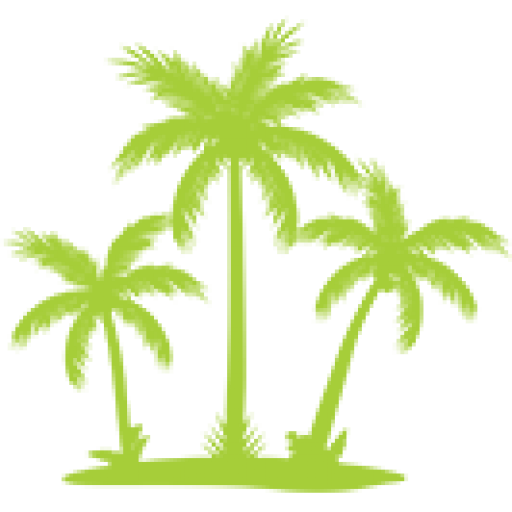 Cairns & Palm Cove Rental Cars | Tropical North Car Rentals